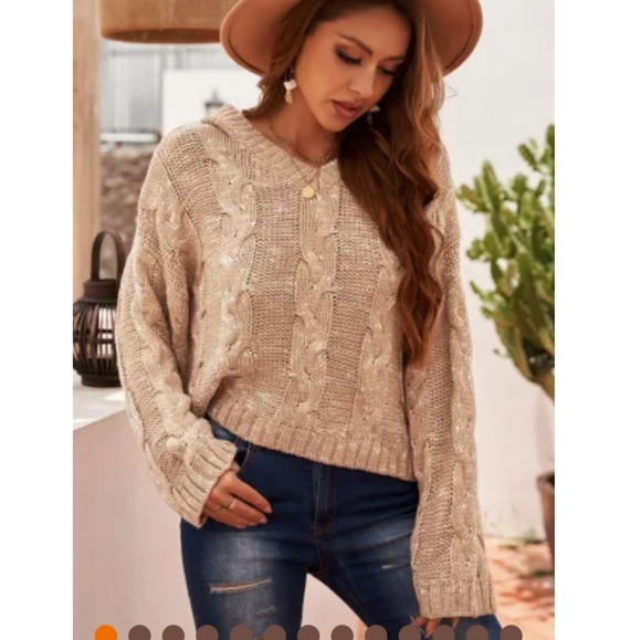 Sweaters | Apricot Hooded Sweater | Poshmark